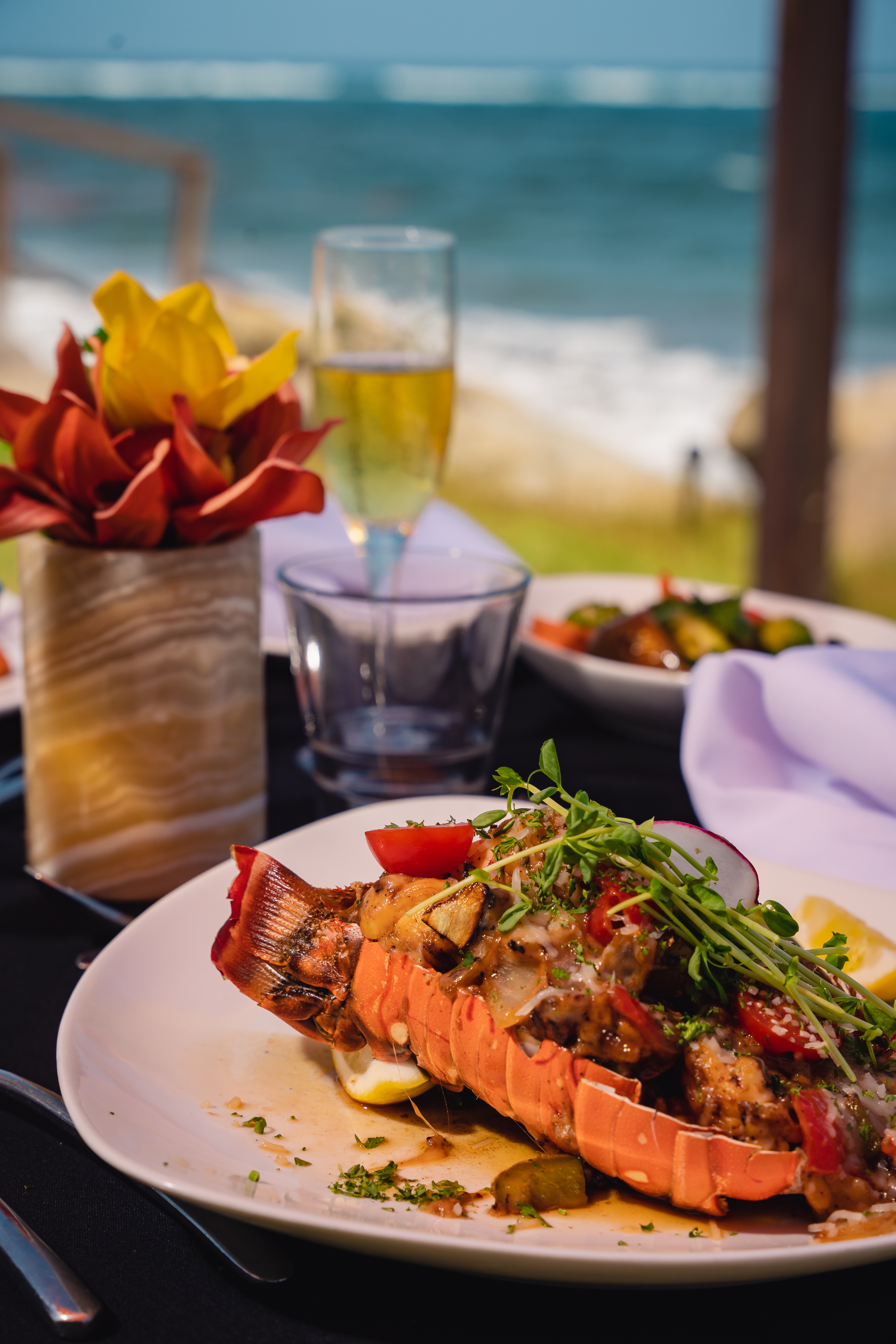 Visit St. Kitts | Caribbean Paradise & Tropical Getaway